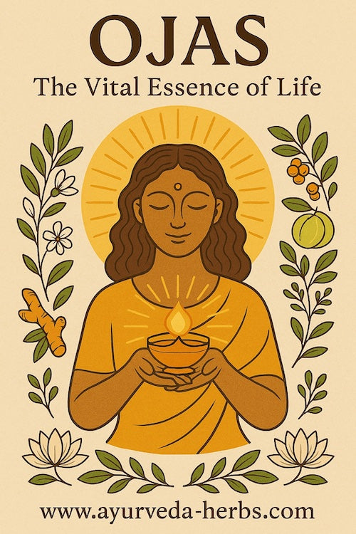 Cultivating Ojas: The Vital Essence of Life from an Ayurvedic Perspect – Ayurvedic Rasayanas