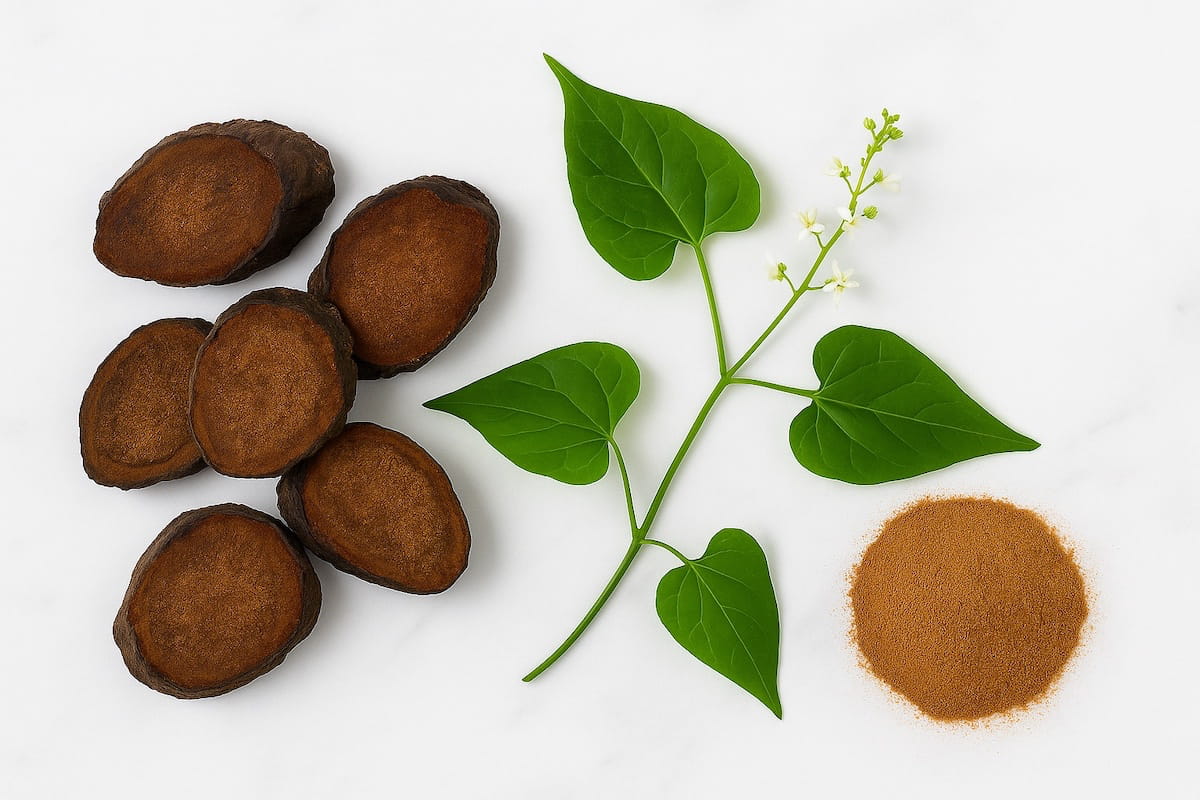 Fo Ti (He Shou Wu) – Traditional Herb for Longevity & Vitality ...